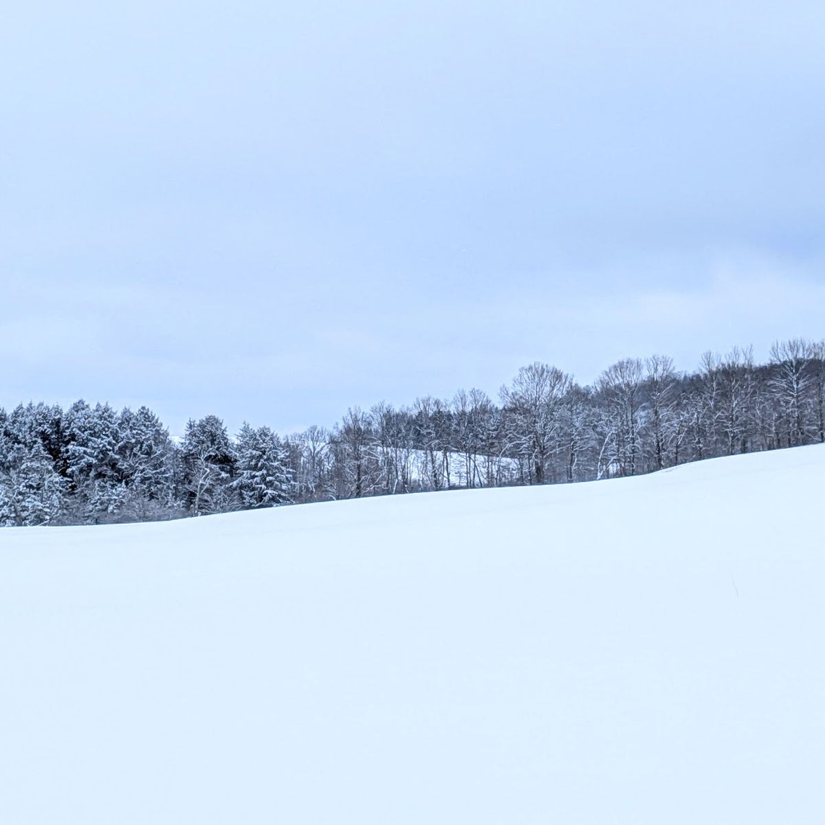 A Few Square Inches of Light – Cairncrest Farm
