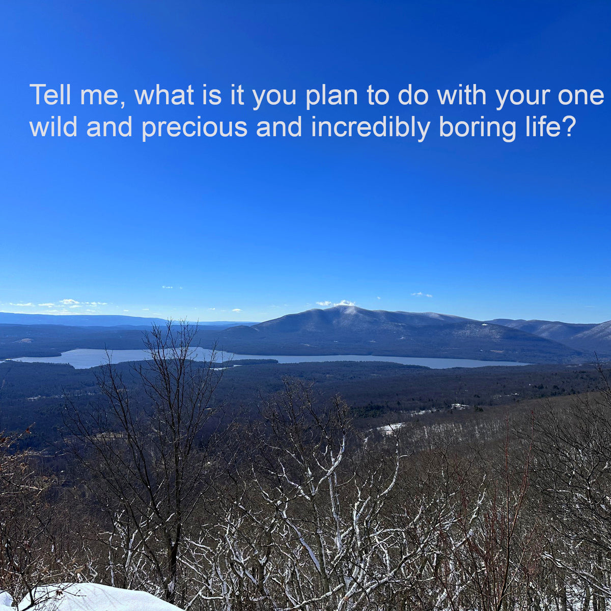 What Will You Do With Your Wild and Precious and Incredibly Boring Lif ...