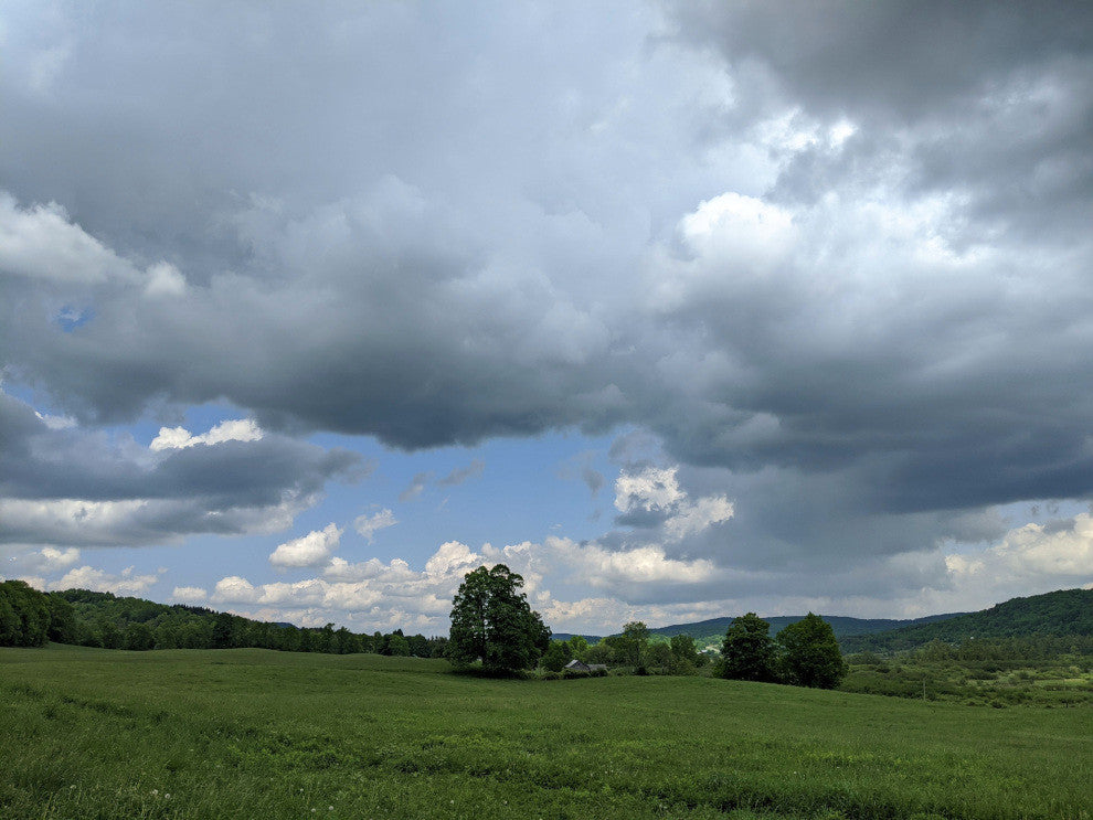 Amish Healthcare and the Future of Community – Cairncrest Farm
