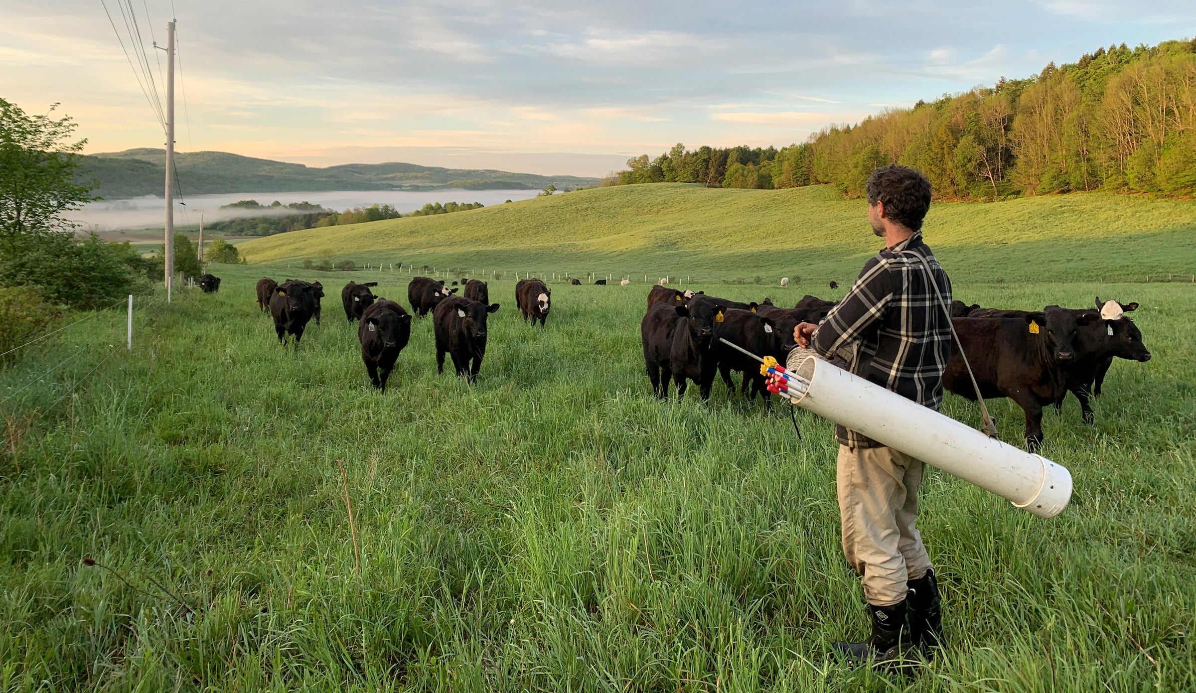100% Grass Finished, Grass Fed Beef and Pastured Organic Chicken ...