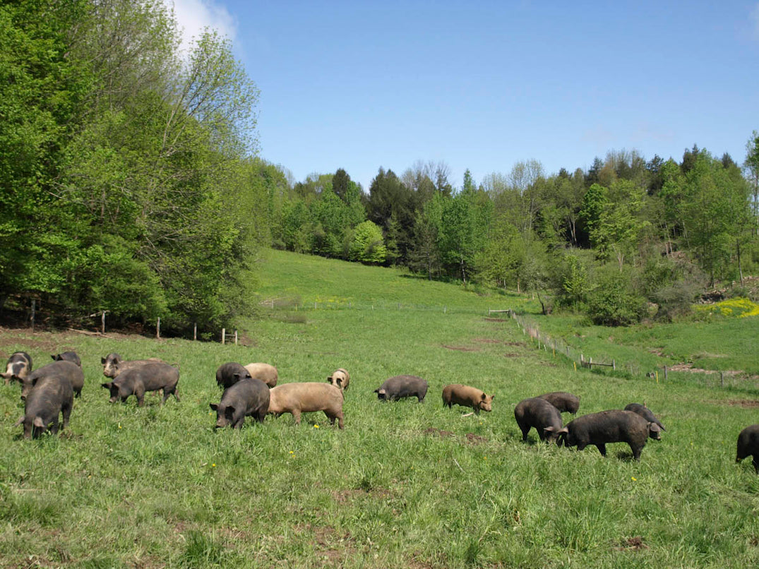 How We Farm – Cairncrest Farm
